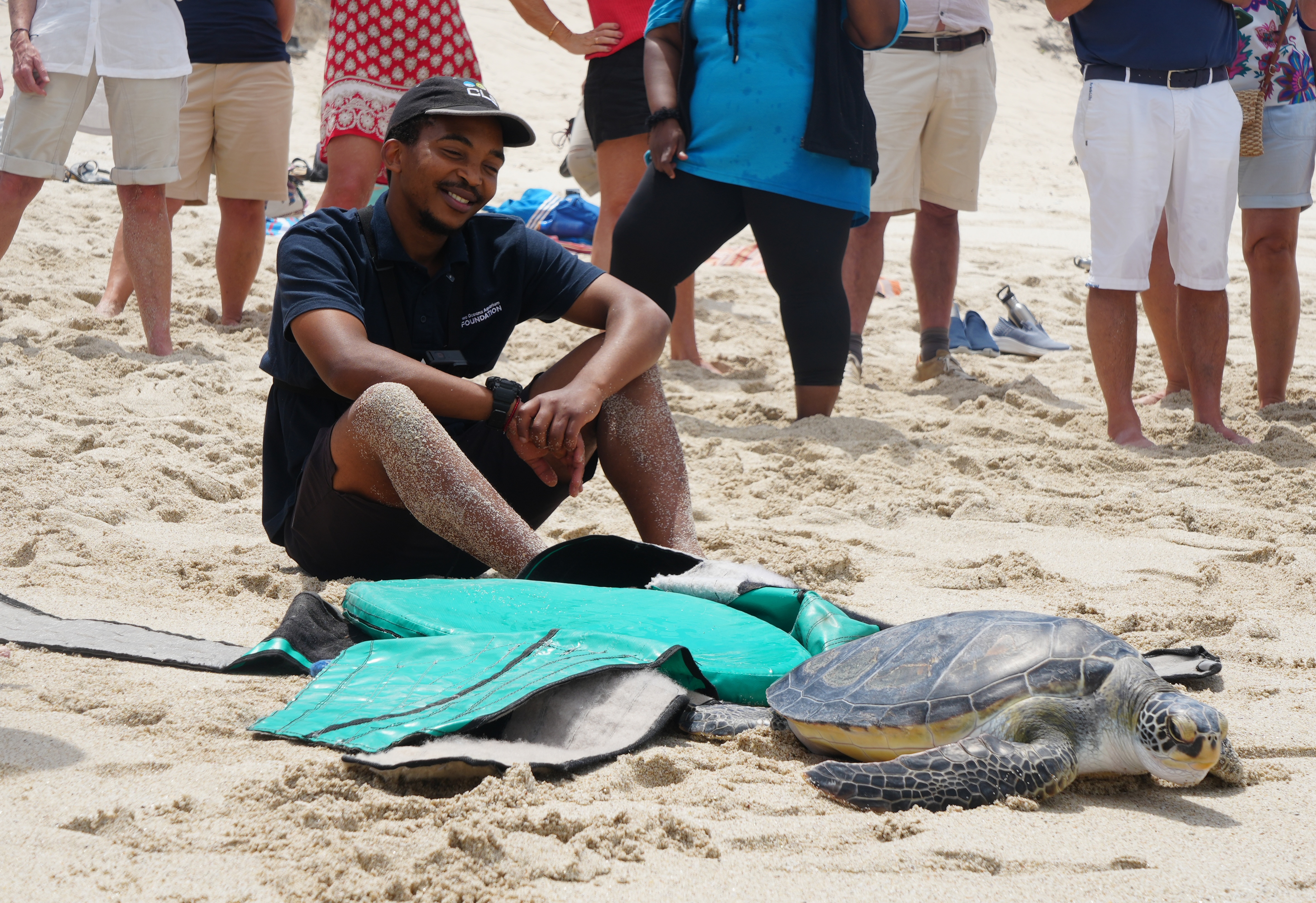 Monday Smile: Rehabilitated turtles released at De Hoop | Travelnews